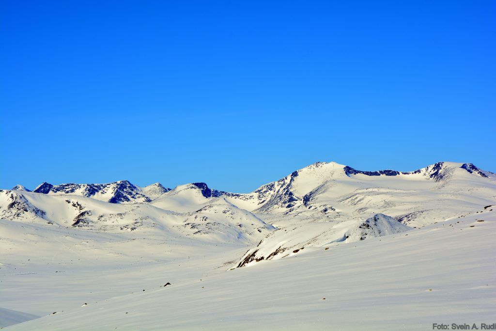 Tjønnholstinden turbeskrivelse - Sommer & Vinter - Bessheim Fjellstue